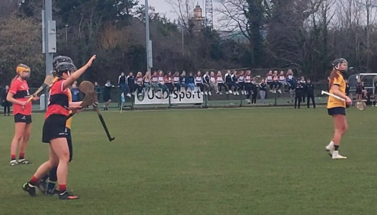 UL Camogie attend Ashbourne semi-final after controversial elimination ...