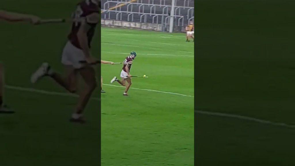 Aaron Niland scores 11 points as Galway wins the Leinster minor hurling ...